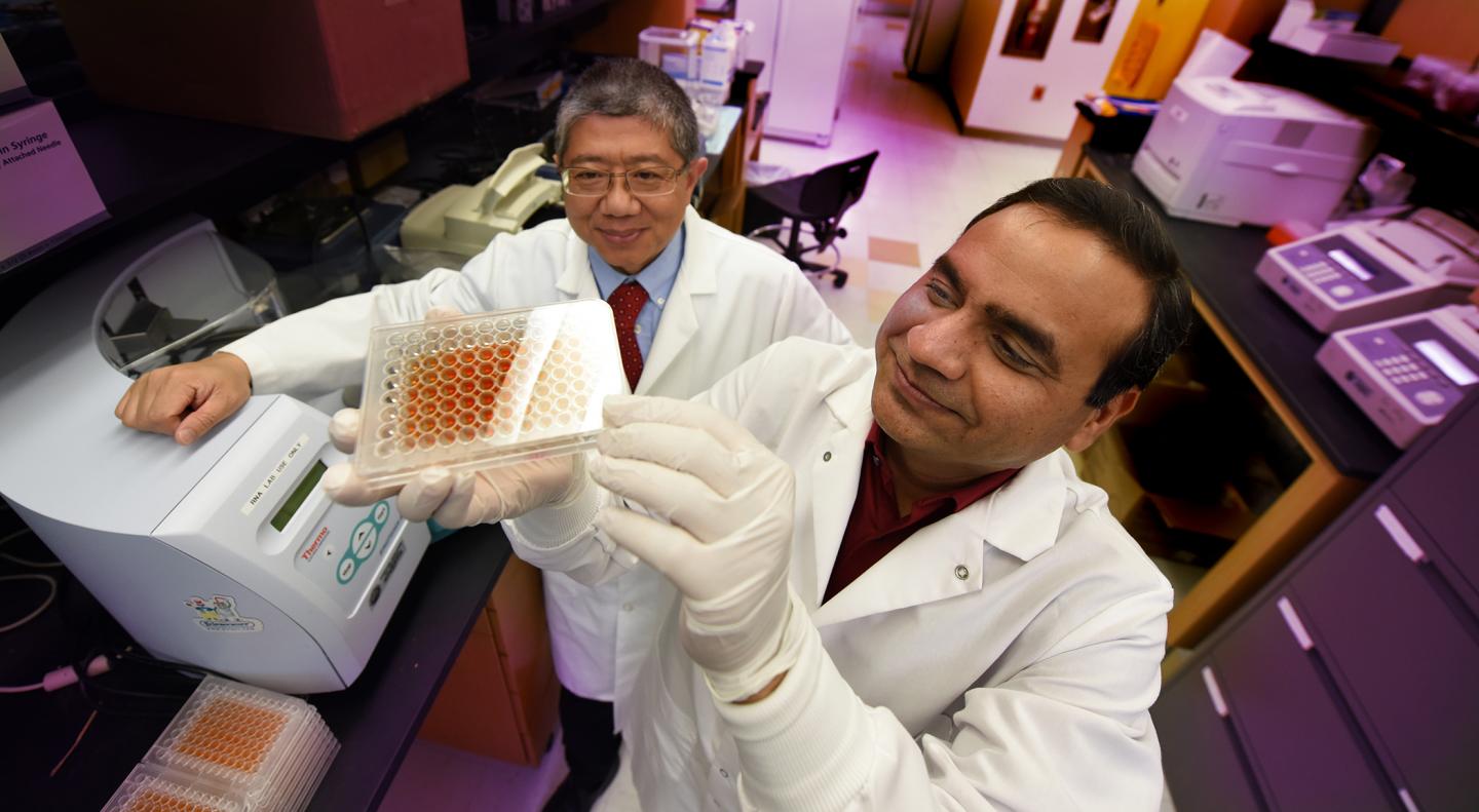 Genetic discovery may help better identify ch | EurekAlert!