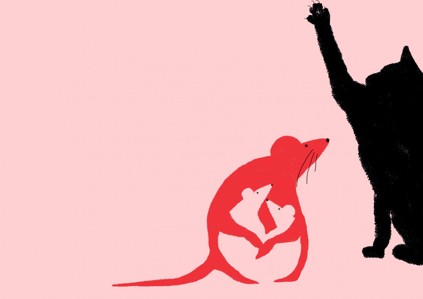 What makes a mother risk her life to protect | EurekAlert!