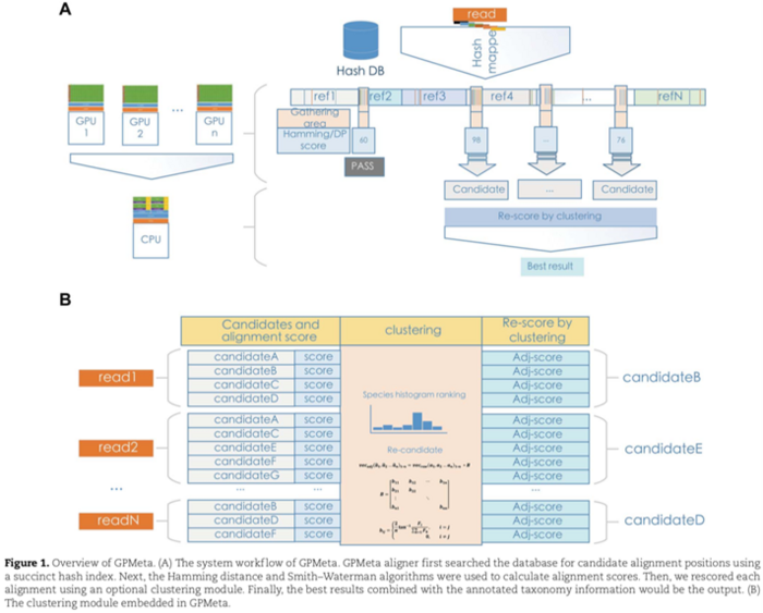 Figure 1 - Overview of GPMeta [IMAGE] | EurekAlert! Science News Releases