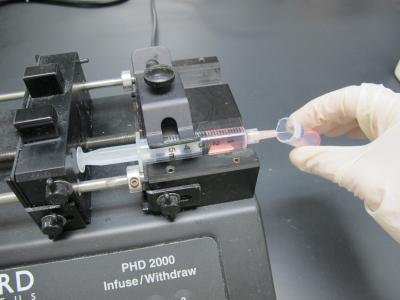 Syringe Shear Test [IMAGE] | EurekAlert! Science News Releases