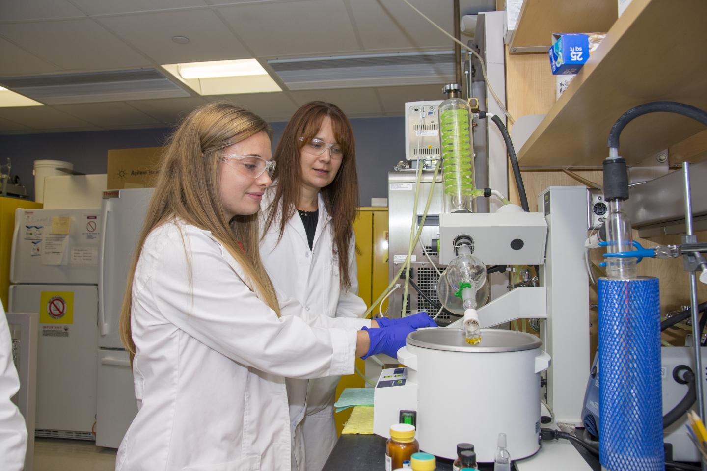 Mattson Lab at WPI [IMAGE] | EurekAlert! Science News Releases