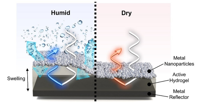 Real-time ultrafast humidity sensing optical | EurekAlert!