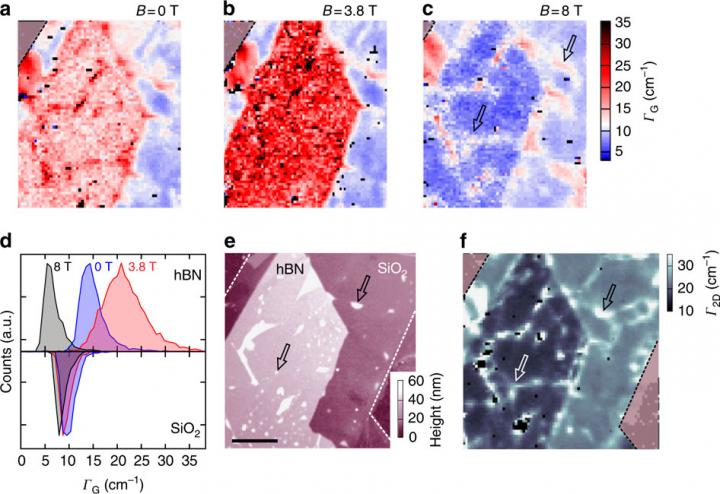 Figure 3: Sample Morphology [IMAGE] | EurekAlert! Science News Releases
