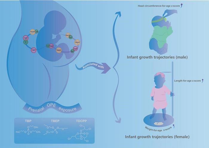 Graphical abstract. [IMAGE] | EurekAlert! Science News Releases