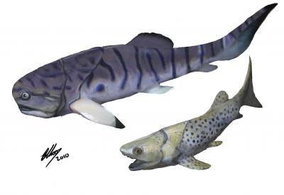 Straight From the Mouths of the Most Primitiv | EurekAlert!