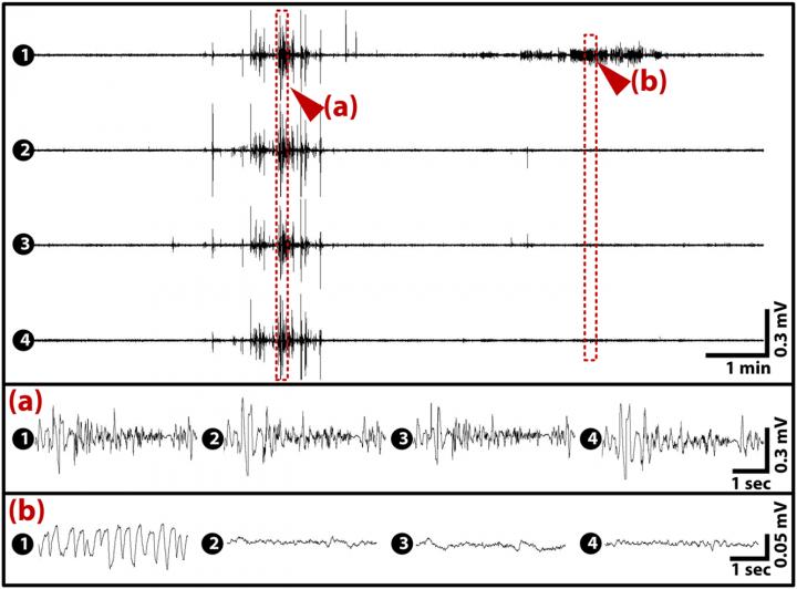 Figure 2 Measured Multichannel [IMAGE] | EurekAlert! Science News Releases
