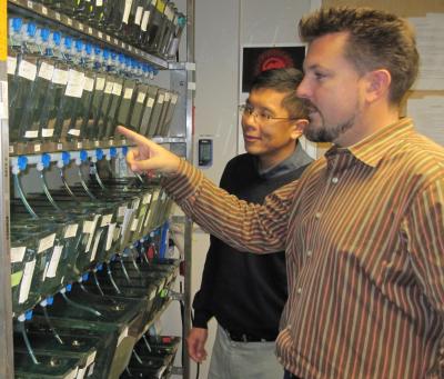 David Traver and Neil Chi Trac [IMAGE] | EurekAlert! Science News Releases