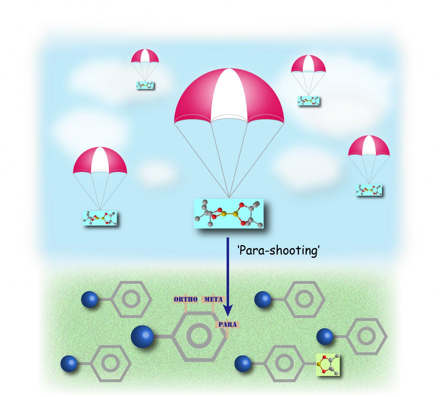 'Parachuting' boron on benzene rings | EurekAlert!