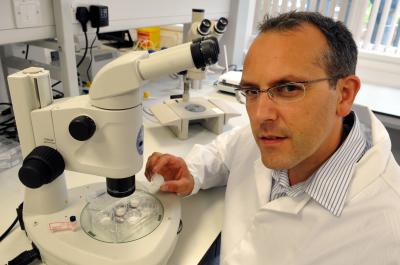 New stem cell tools to aid drug development | EurekAlert!