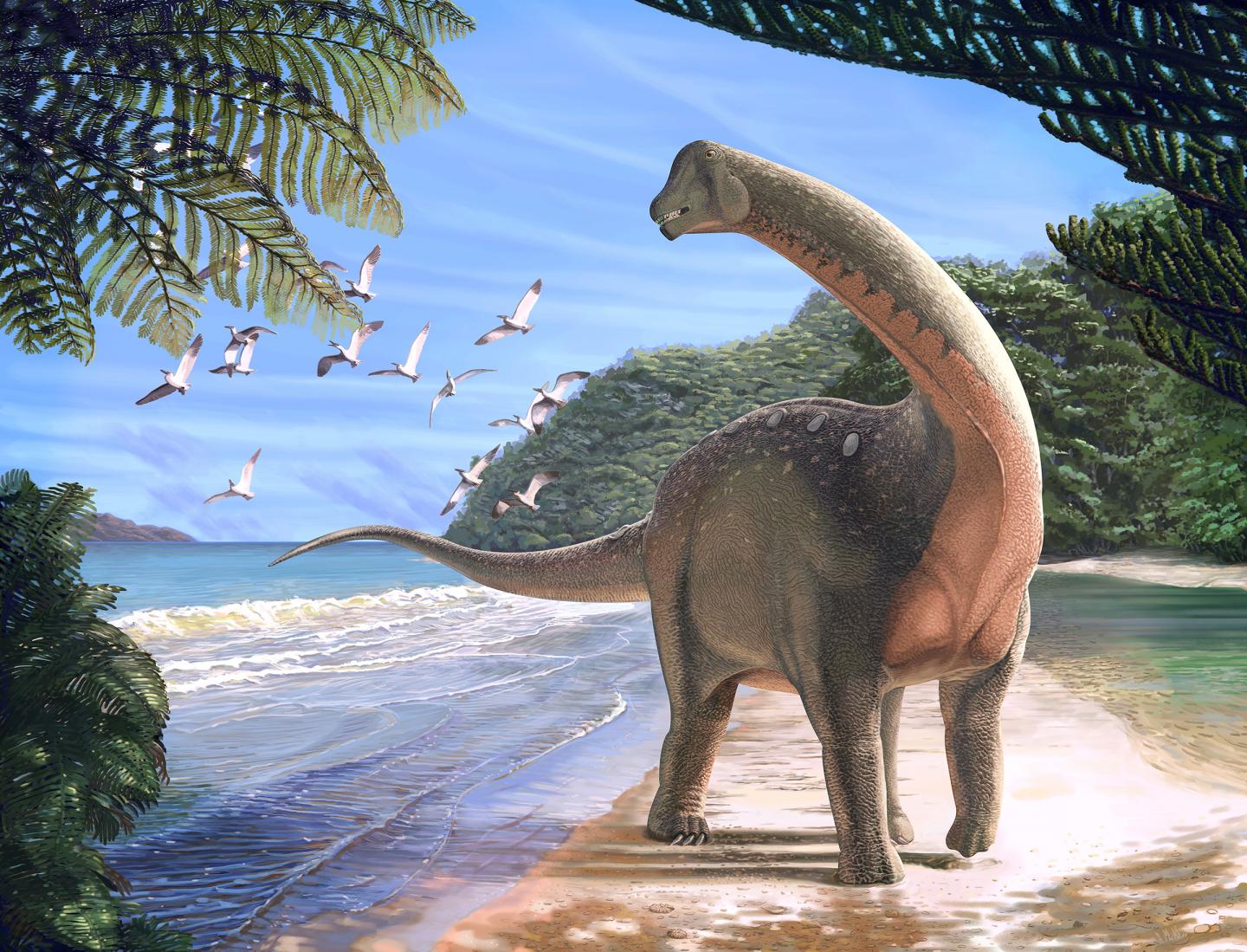 Mansourasaurus Life Reconstruc [IMAGE] | EurekAlert! Science News Releases