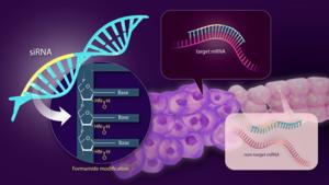 Solving the side effect problem of siRNA drug | EurekAlert!