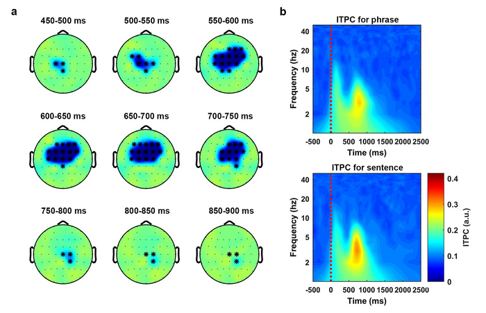 Fig 2. Phase coherence separat [IMAGE] | EurekAlert! Science News Releases