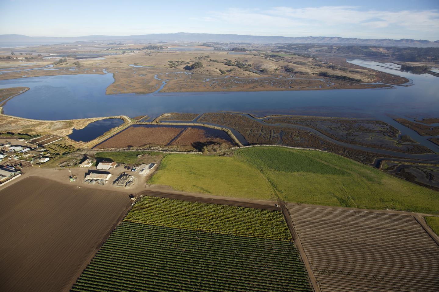 Elkhorn Slough Farm Lands [IMAGE] | EurekAlert! Science News Releases
