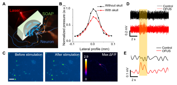 Working principle of SOAP, the [IMAGE] | EurekAlert! Science News Releases