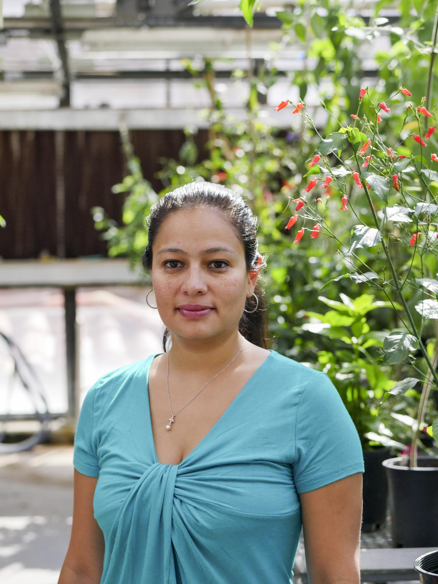 Daniela Vergara [IMAGE] | EurekAlert! Science News Releases