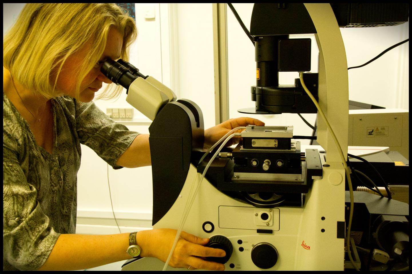 Optical Tweezers Lab [IMAGE] | EurekAlert! Science News Releases