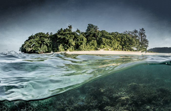 Over-under image of an island [IMAGE] | EurekAlert! Science News Releases