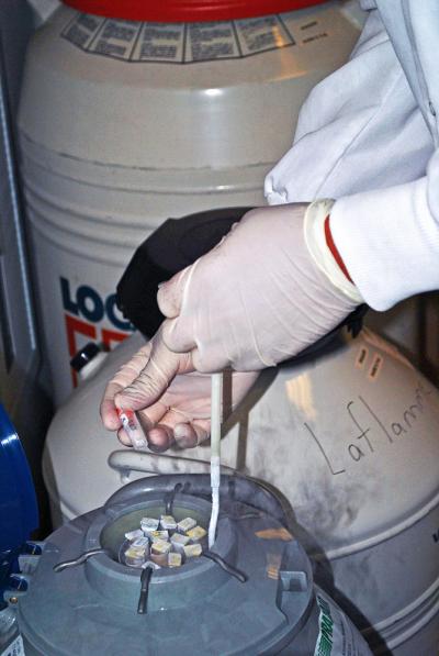 Frozen Specimens [IMAGE] | EurekAlert! Science News Releases