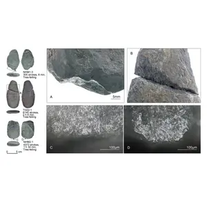 Scientists try out stone age tools to unders | EurekAlert!