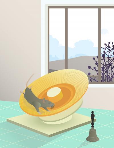 A Mouse Running on a Treadmill [IMAGE] | EurekAlert! Science News Releases
