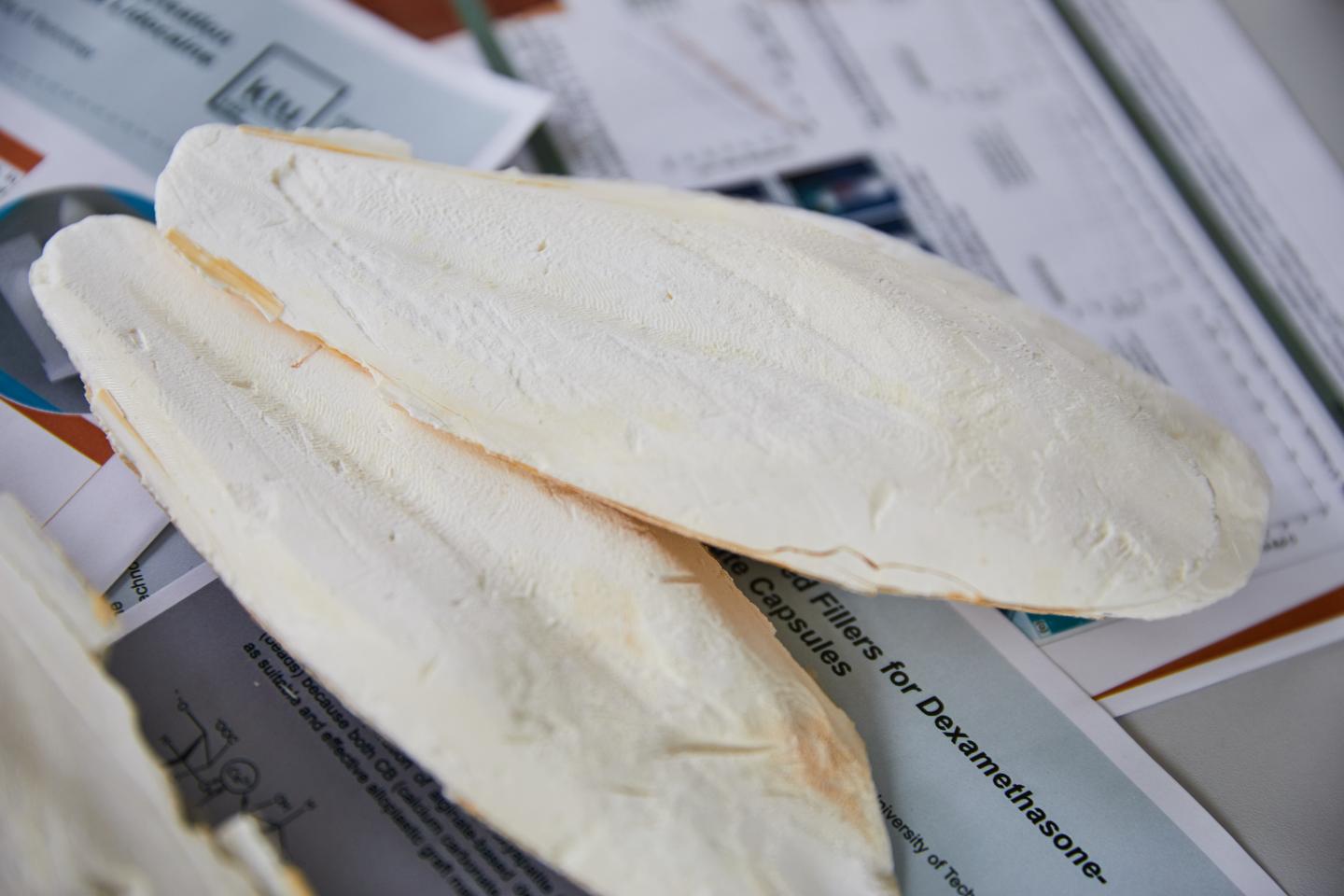 Cuttlebone Sample [IMAGE] | EurekAlert! Science News Releases