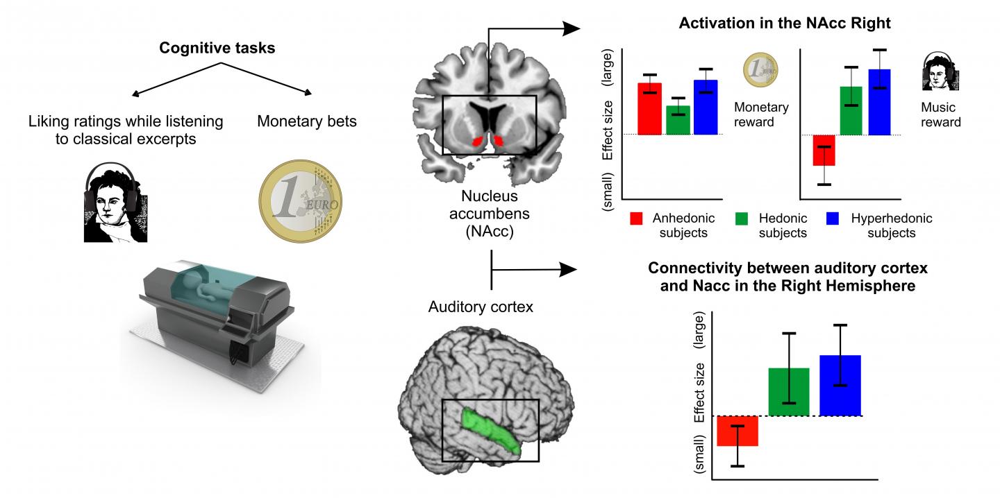 Anhedonia [IMAGE] | EurekAlert! Science News Releases