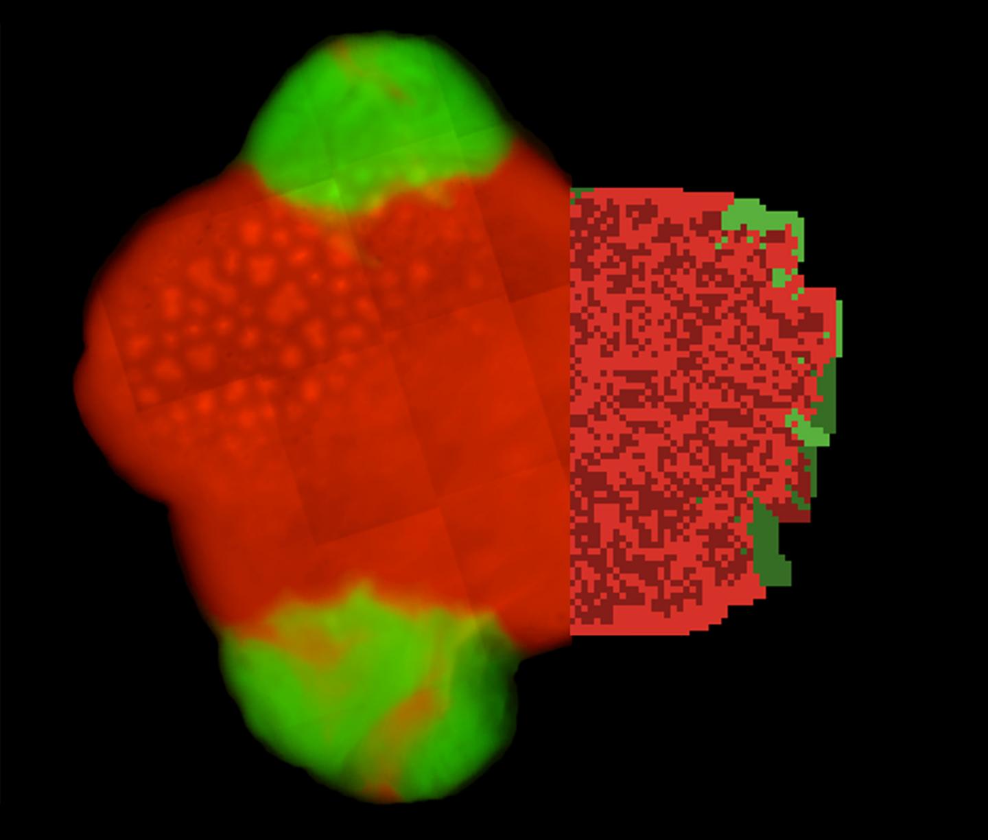 Experiment and Computer Simula [IMAGE] | EurekAlert! Science News Releases
