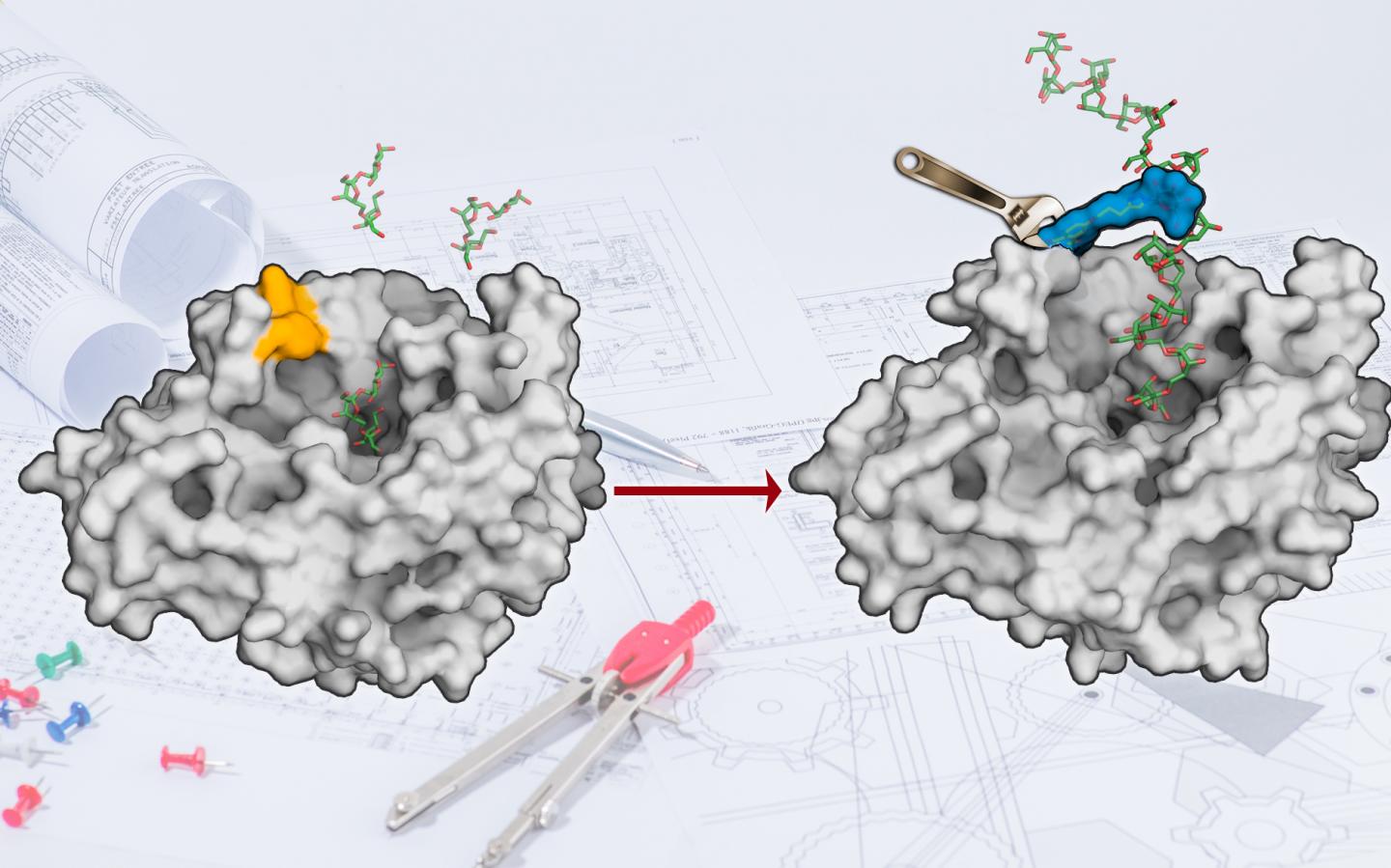 New technology for enzyme design | EurekAlert!