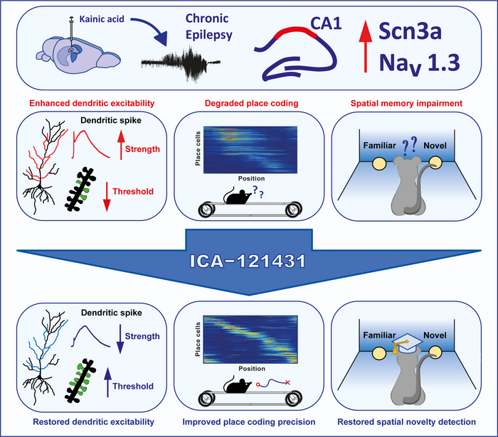 Schematic sketch [IMAGE] | EurekAlert! Science News Releases
