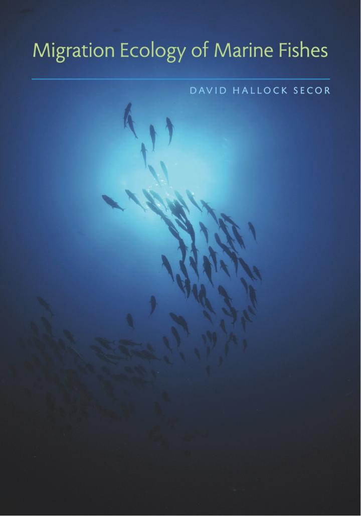 The secret lives of fish revealed by the digi | EurekAlert!