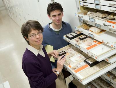 Susan Kidwell, Adam Tomašových [IMAGE] | EurekAlert! Science News Releases