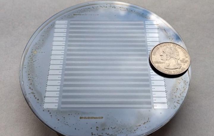 Microfluidic Chip [IMAGE] | EurekAlert! Science News Releases