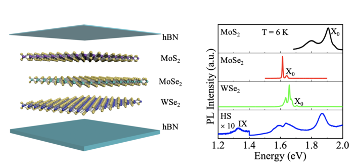 Valleytronics researchers fabricate novel 2D | EurekAlert!