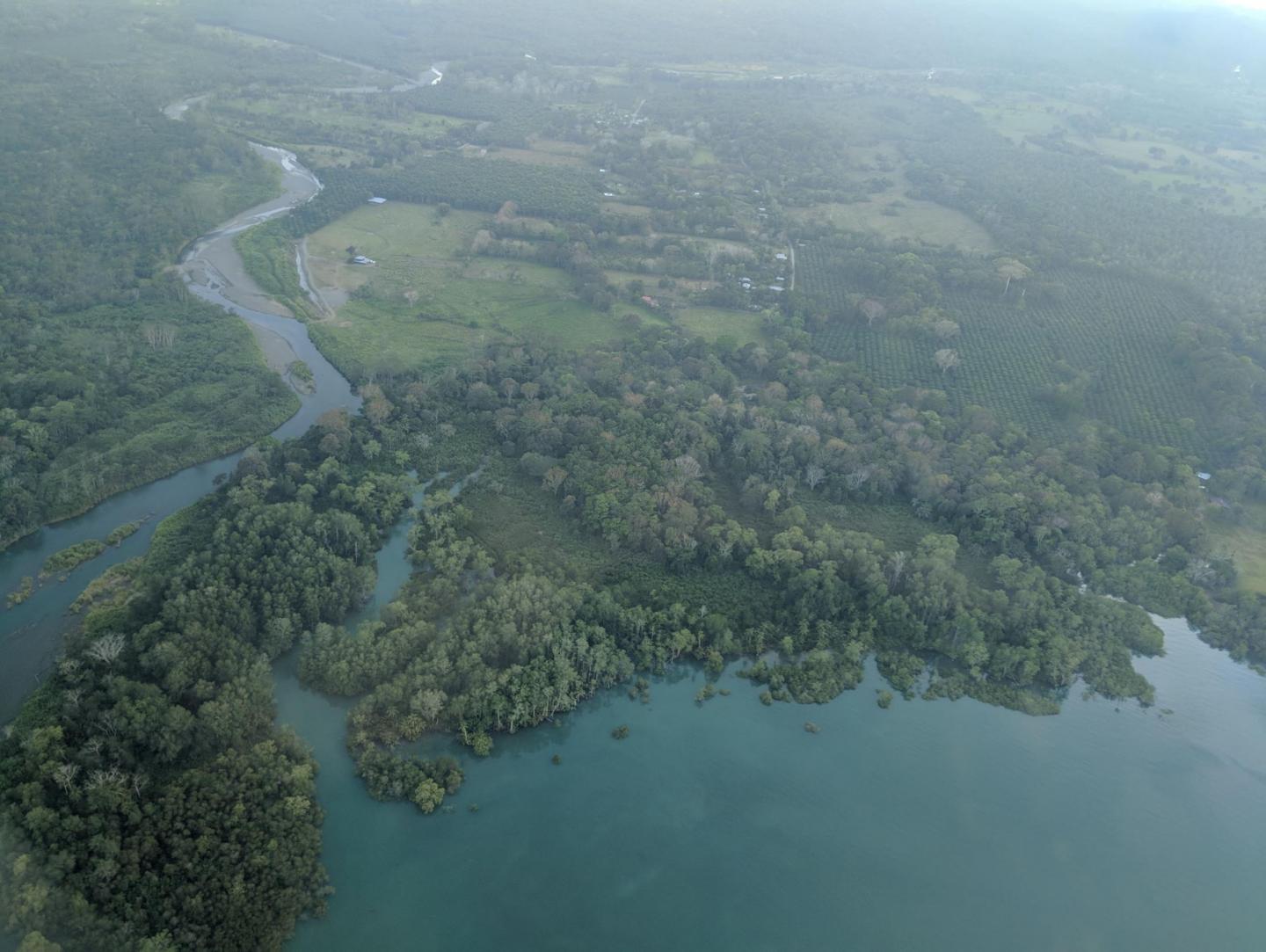 An Alleged Narco-Trafficking N [IMAGE] | EurekAlert! Science News Releases