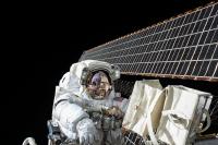 NASA Twins Study finds spaceflight affects gu | EurekAlert!