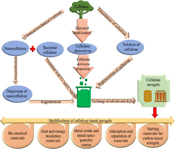 Sustainable solutions: The rise of cellulose | EurekAlert!