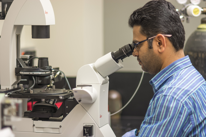 Durai Sellegounder Microscopy [image] Eurekalert Science News Releases
