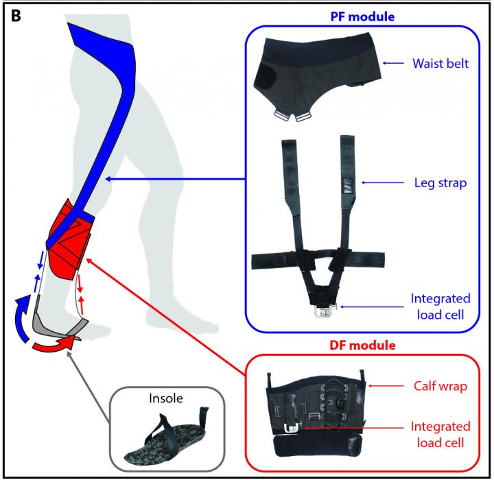 Soft Robotic Exosuits Help Patients Walk Afte | EurekAlert!