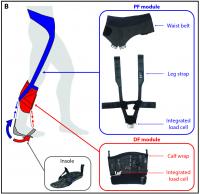 Soft Robotic Exosuits Help Patients Walk Afte | EurekAlert!