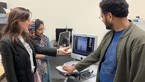 Texas A&M ultrasound and elasticity imaging l | EurekAlert!