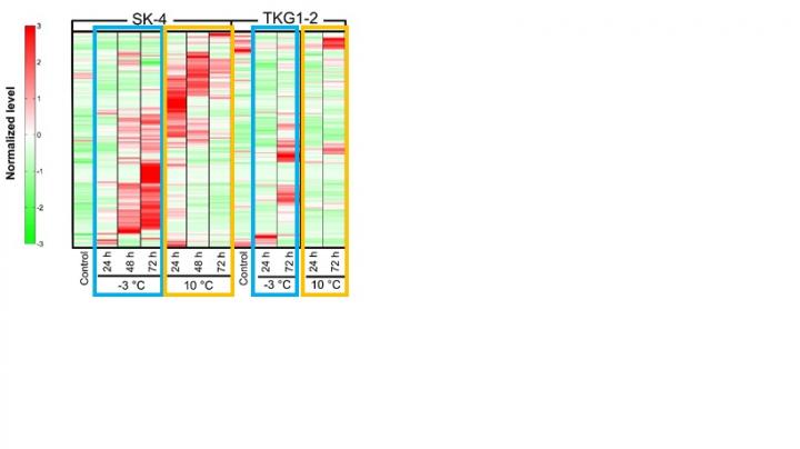 Heat Map Analysis [IMAGE] | EurekAlert! Science News Releases