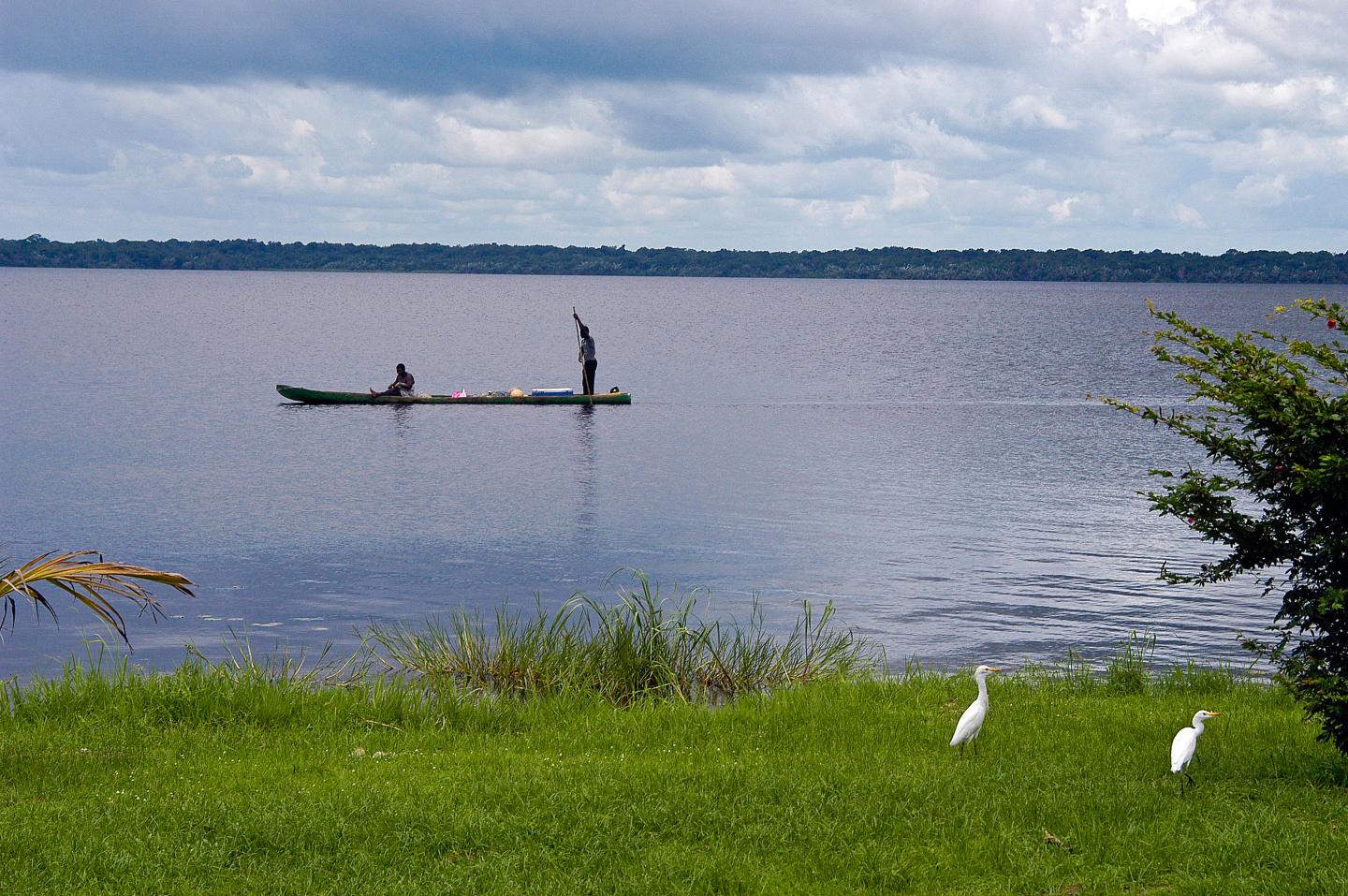 The Genetic History of Bantu S [IMAGE] | EurekAlert! Science News Releases