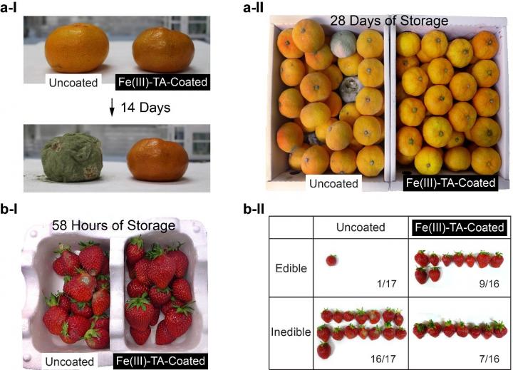 Photos of Uncoated Fruites and [IMAGE] | EurekAlert! Science News Releases