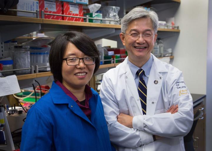 Xinshu (Grace) Xiao and David [IMAGE] | EurekAlert! Science News Releases