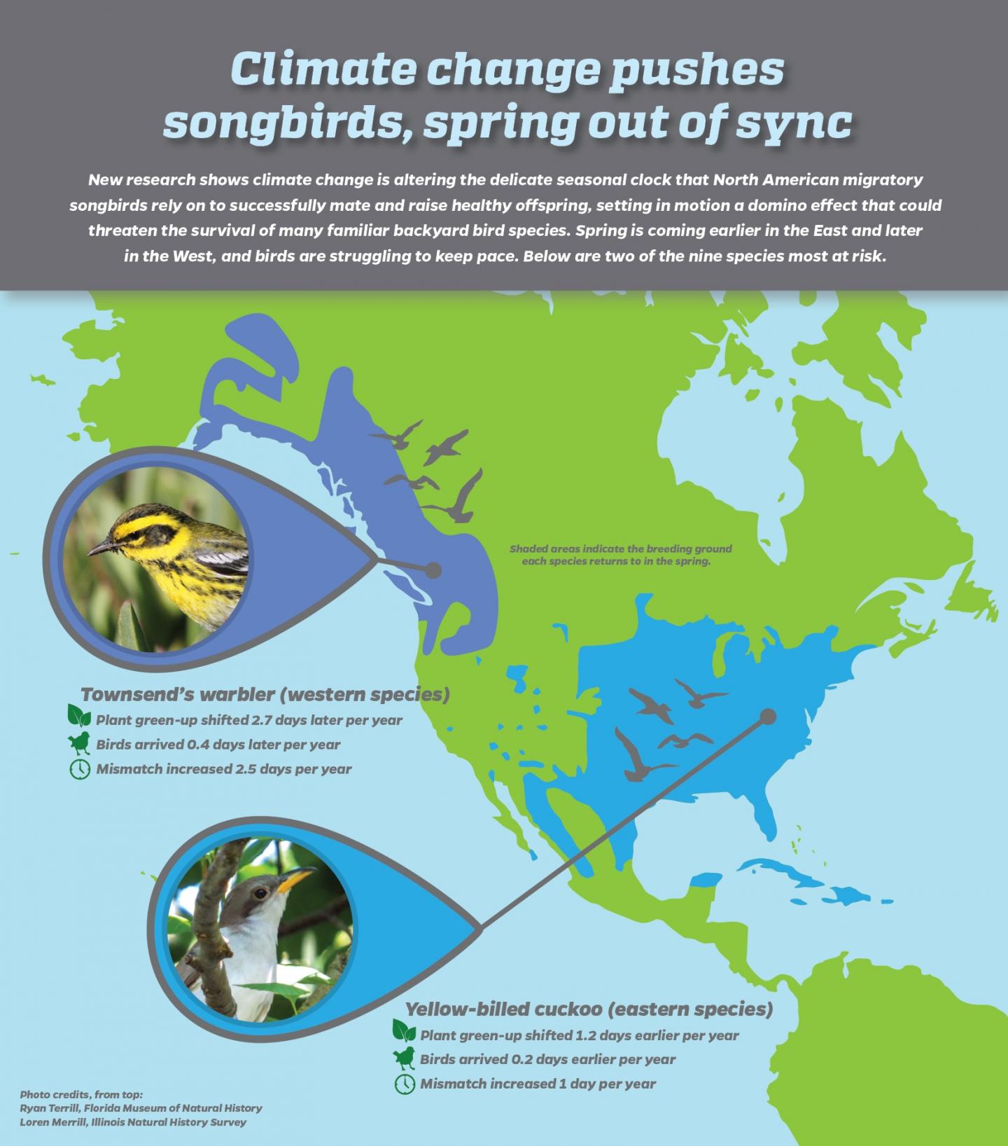 Climate Change Pushes Songbird [IMAGE] | EurekAlert! Science News Releases