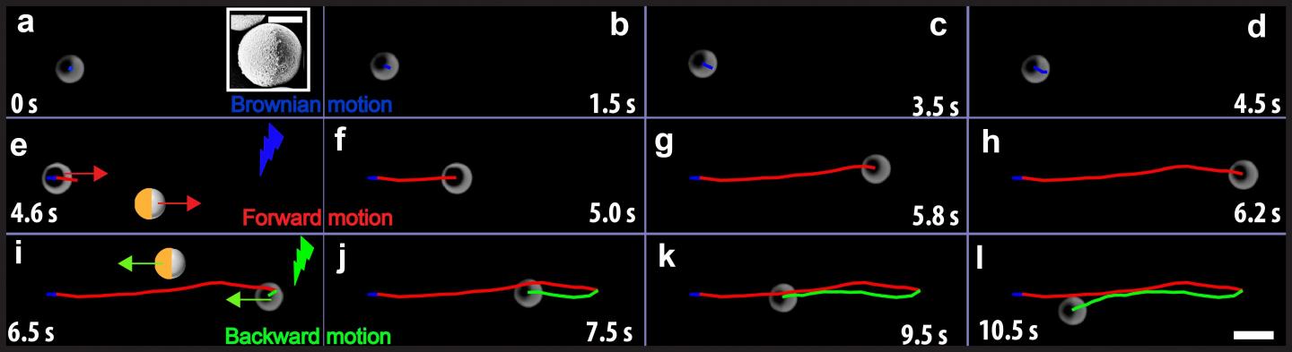 Reversible motion [IMAGE] | EurekAlert! Science News Releases