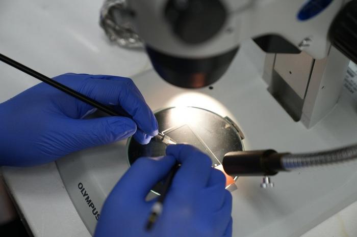 Igor lab 2 [IMAGE] | EurekAlert! Science News Releases