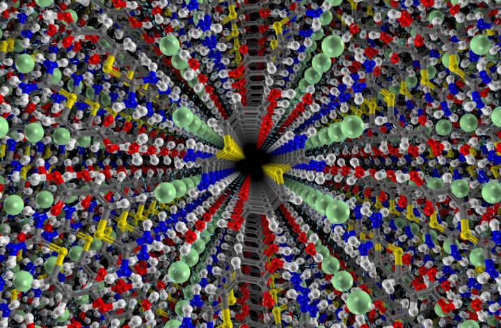 Crystal Structure of the Hydra [IMAGE] | EurekAlert! Science News Releases