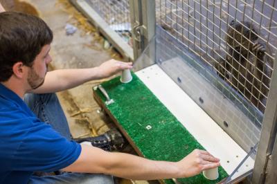 Steve Ferrigno, University of [IMAGE] | EurekAlert! Science News Releases