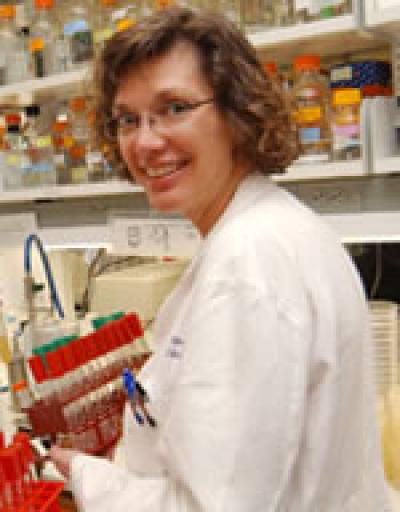 Orth [IMAGE] | EurekAlert! Science News Releases